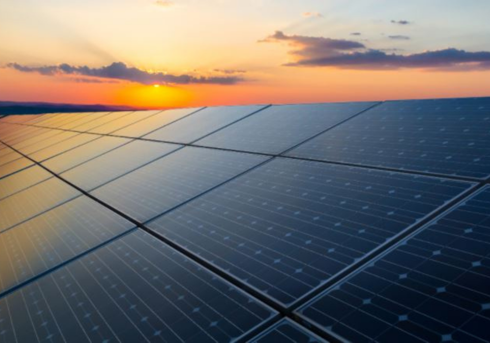 OC Naturals | Australian, Plant-Based & Sustainable Hair & Body Care